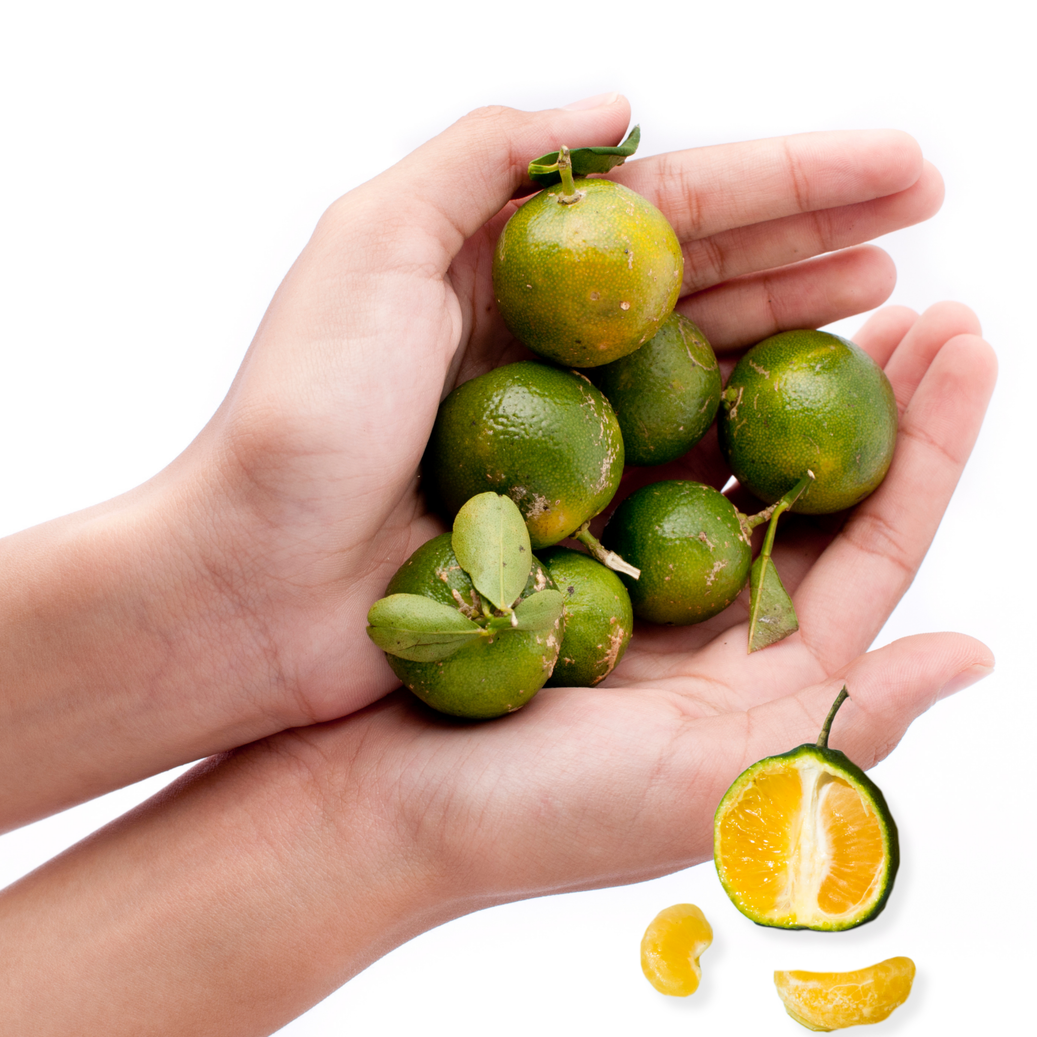 BFI's Summer #HotTakes Flavor Fest: Calamansi - made better™